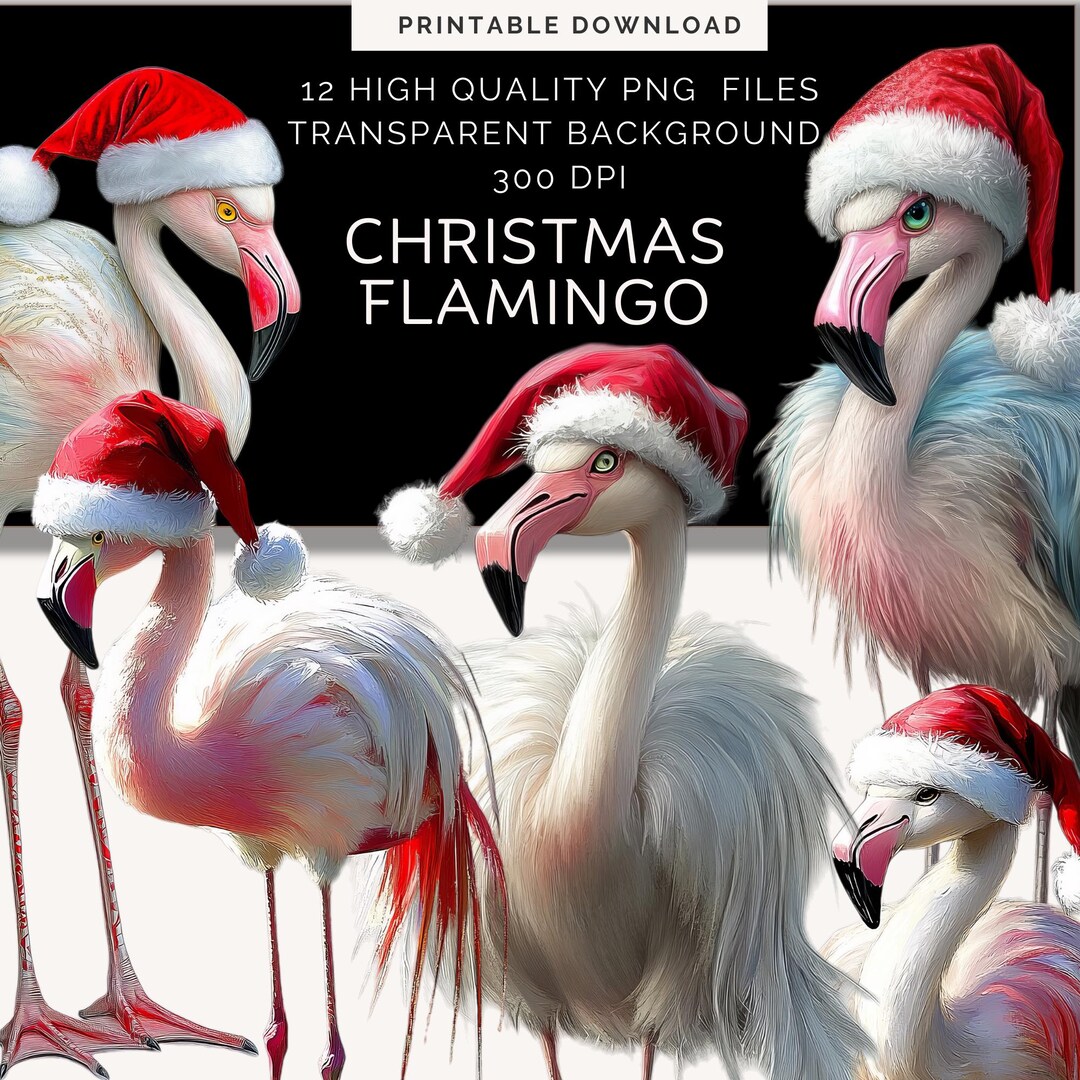 Tropical Christmas Clipart | Beach Christmas Clipart | Florida ...