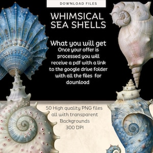 Whimsical Seashells Clipart, Beach Seashell PNG, Coral Reef Clipart, Fisherman Aesthetic ...