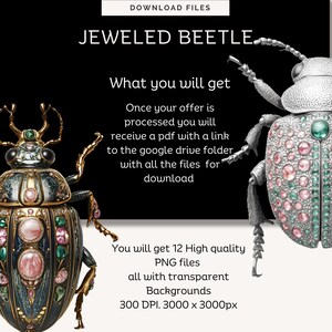 12 Jewelled Beetle Clipart | Golden Beetle | Printable Watercolor ...