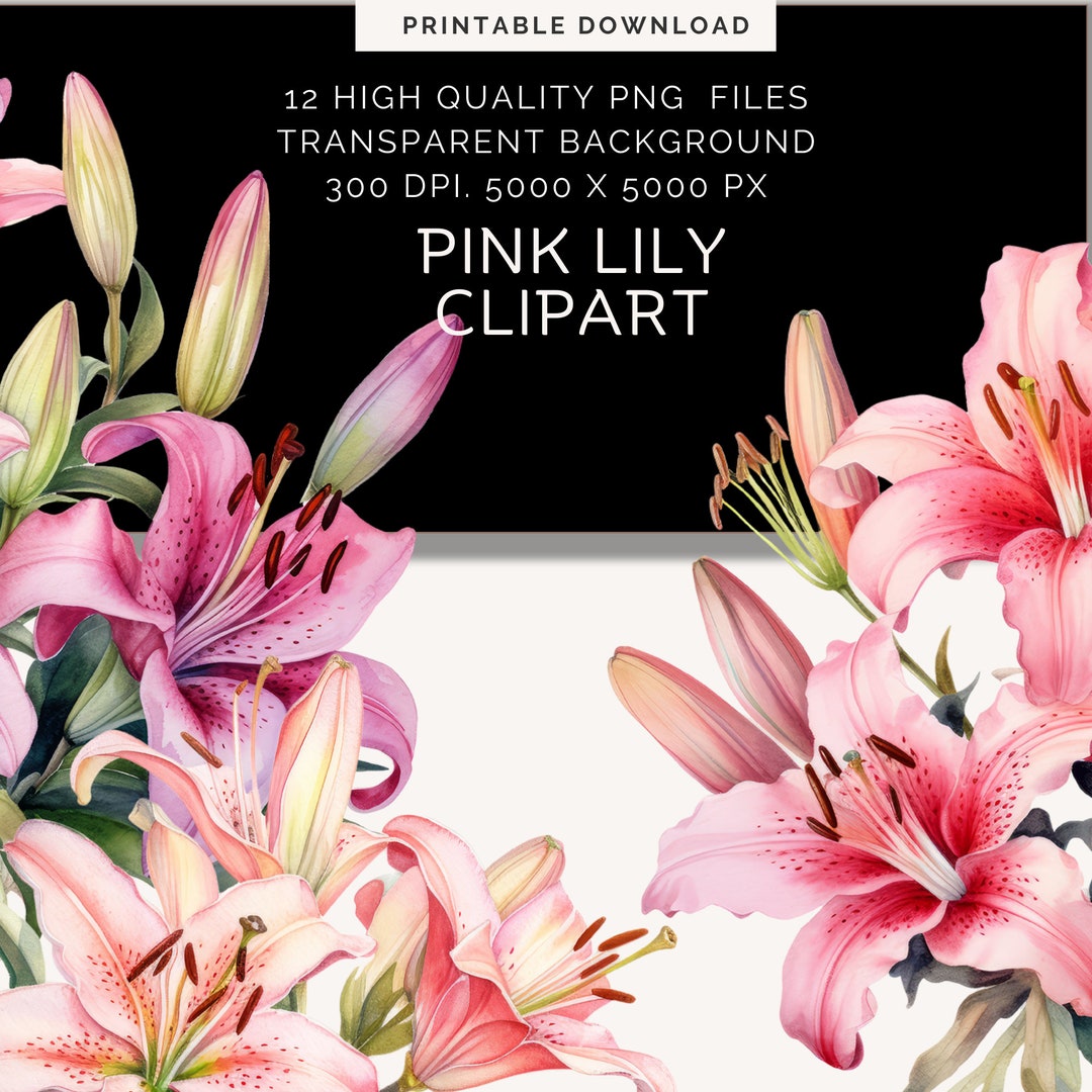Watercolor Pink Lily Clipart | Lily Floral Clipart | Watercolor Lilies ...
