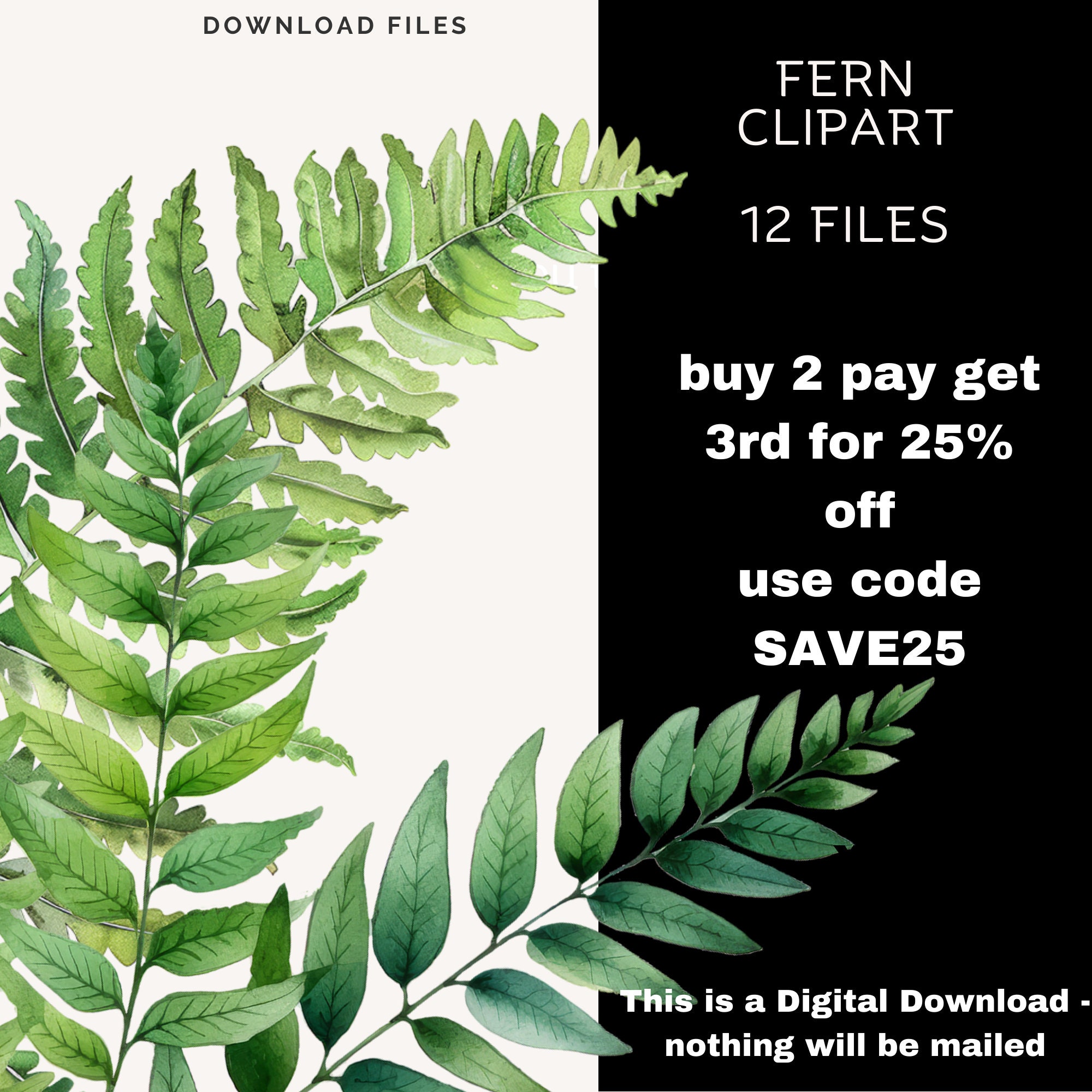 Fern Clipart Paper Craft Fern Png Jpg Eucalyptus Clipart Boho Wedding ...