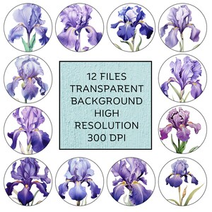 Wild Iris Watercolor Clipart | Wild Iris Flowers | Watercolor Floral Clipart | Wedding Clipart ...