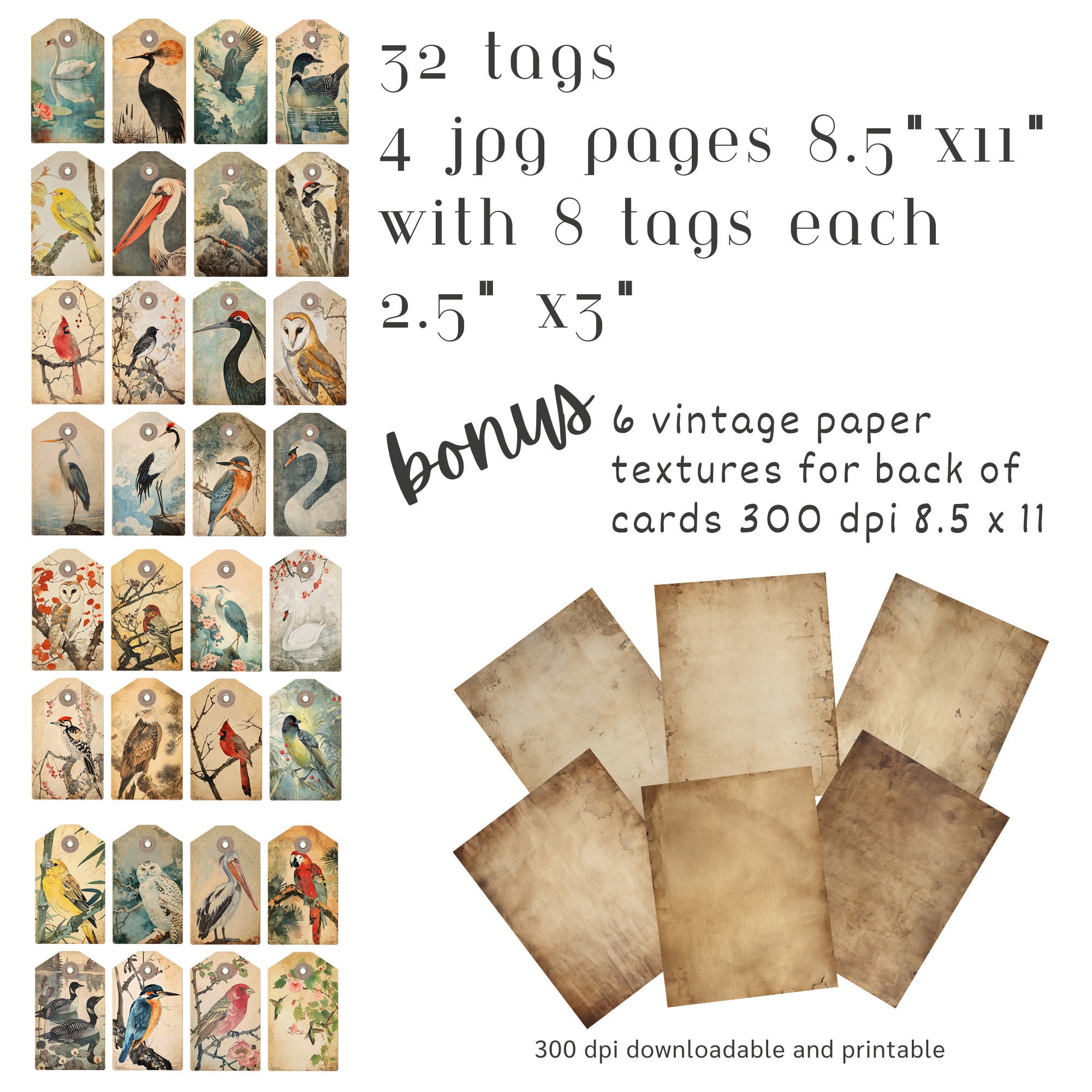 Vintage Bird Journal Tag Bird Printable Tags Vintage Garden Birds Birds ...