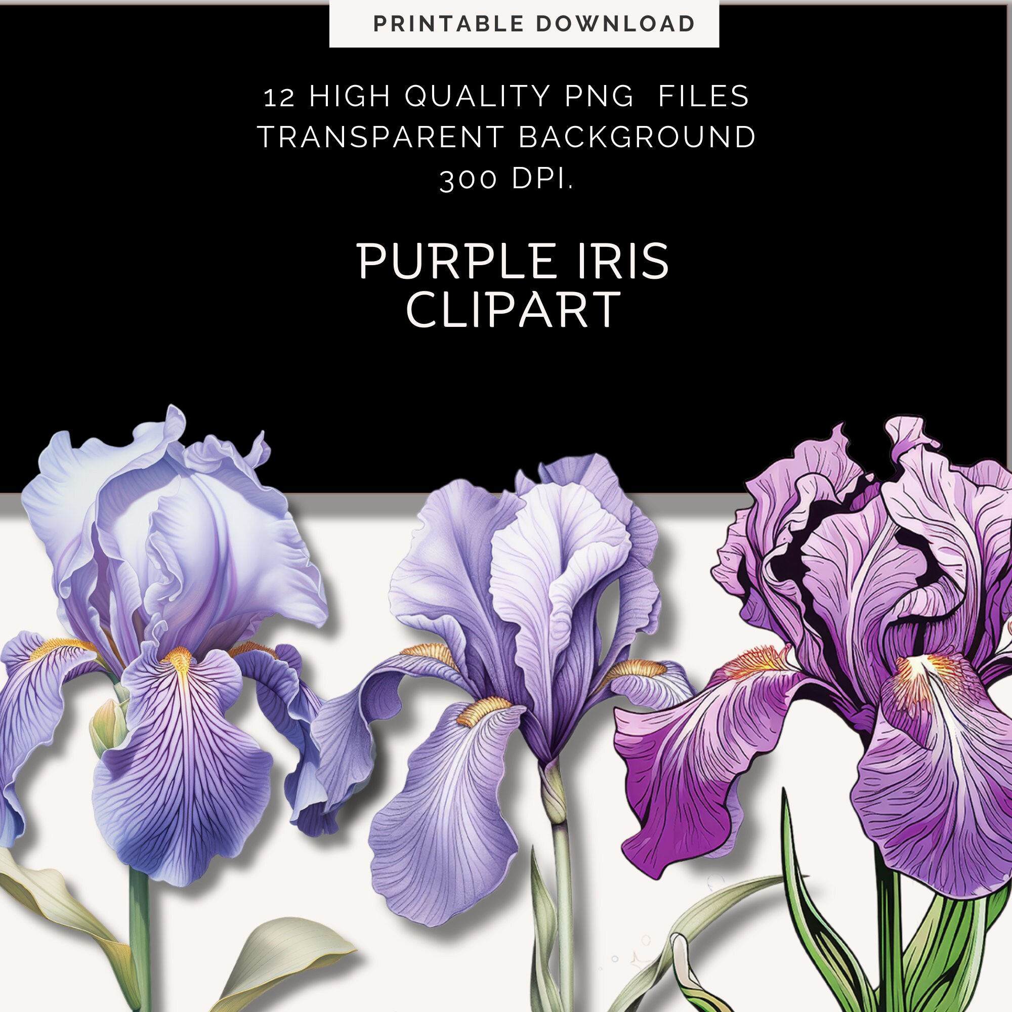 Wild Iris Watercolor Clipart Wild Iris Flowers Watercolor Floral Clipart Wedding Clipart Spring ...