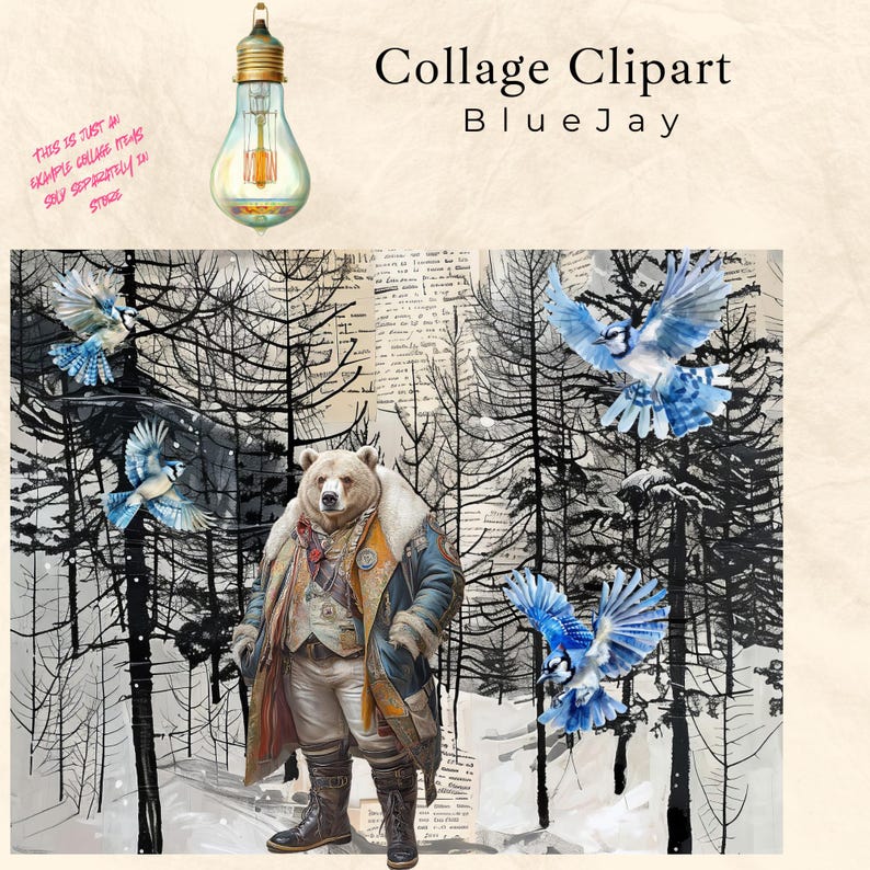 Blue Jay Clipart, Collage Crafts, Bluejay Clipart, Digital Download ...