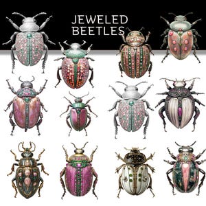 12 Jewelled Beetle Clipart | Golden Beetle | Printable Watercolor ...