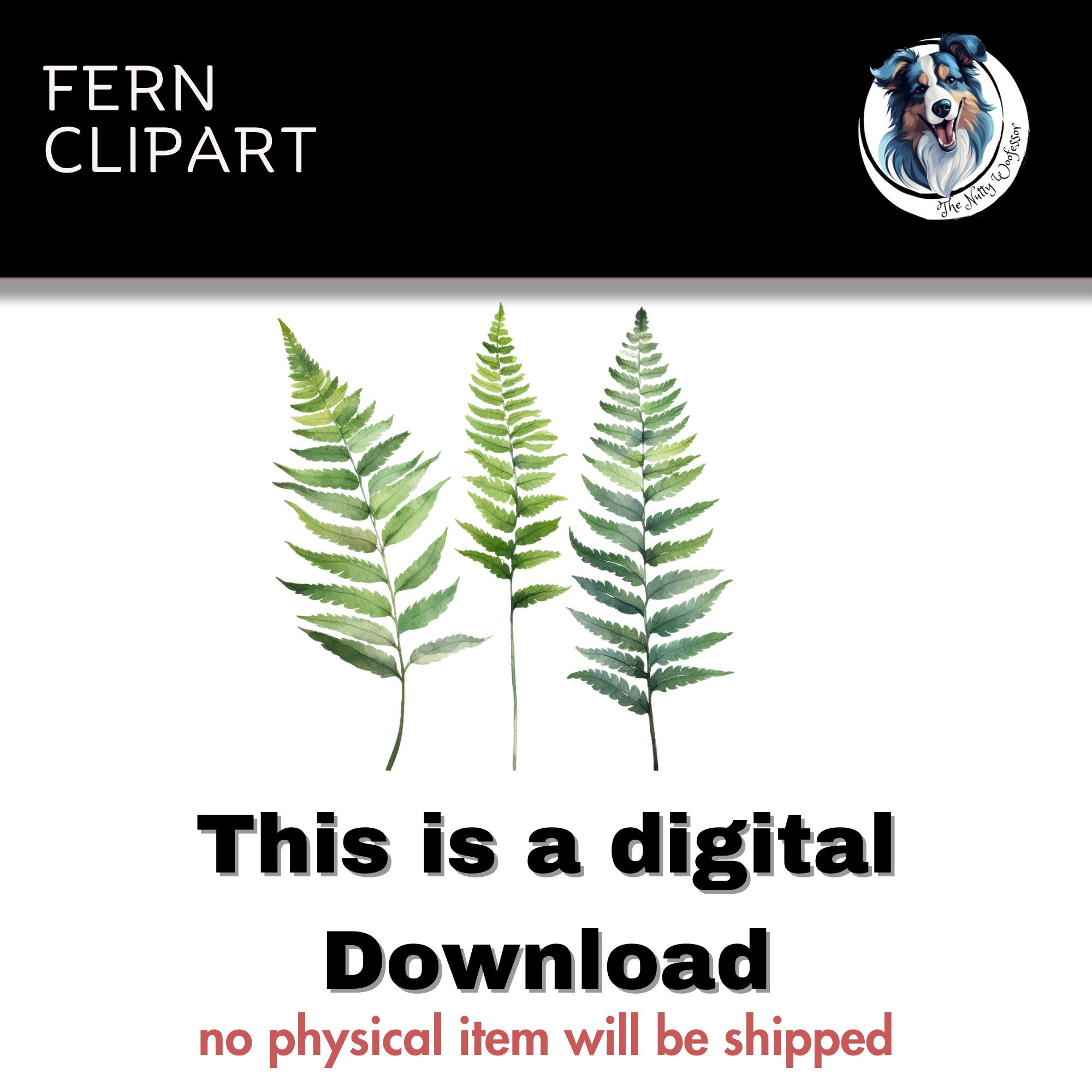 Fern Clipart Paper Craft Fern Png Jpg Eucalyptus Clipart Boho Wedding ...