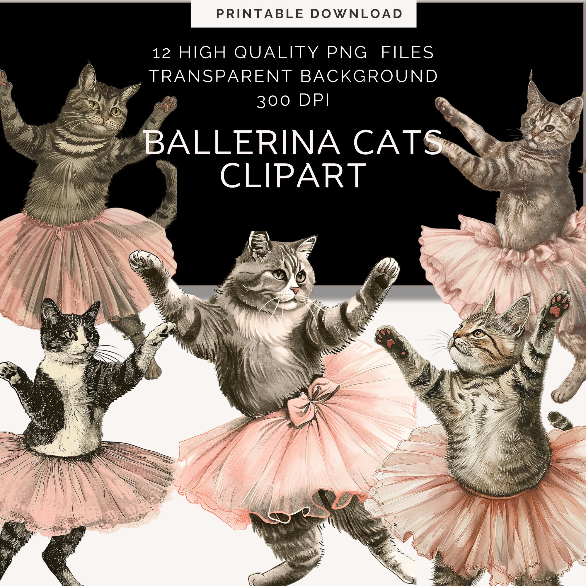 Ballerina Cat Clipart Quirky Cat Clipart ballet Cats in Tutu Dress Cute ...