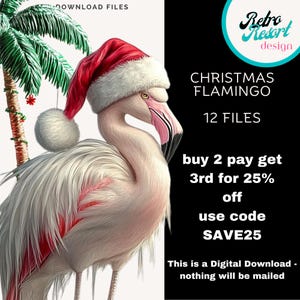 Tropical Christmas Clipart | Beach Christmas Clipart | Florida ...