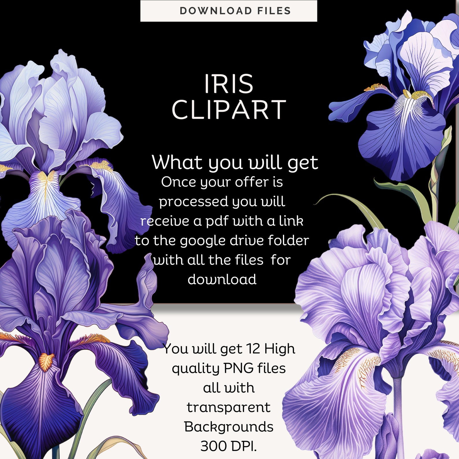 Wild Iris Watercolor Clipart Wild Iris Flowers Watercolor Floral Clipart Wedding Clipart Spring ...