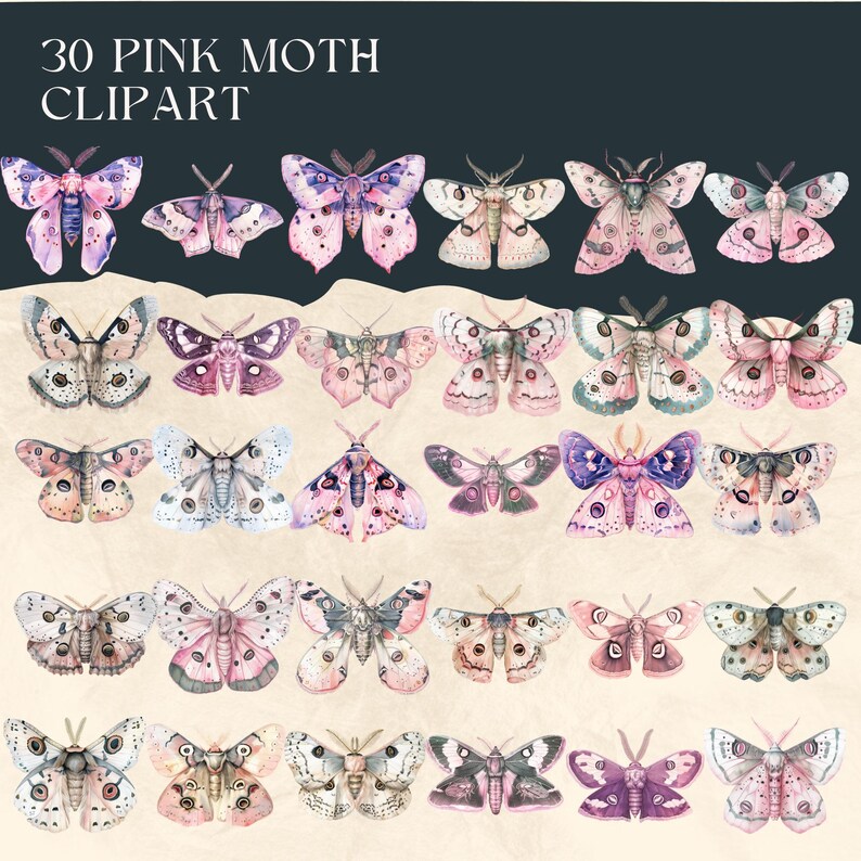 30 Pink Moth Clipart PNG, Transparent Background, Whimsical Vintage ...