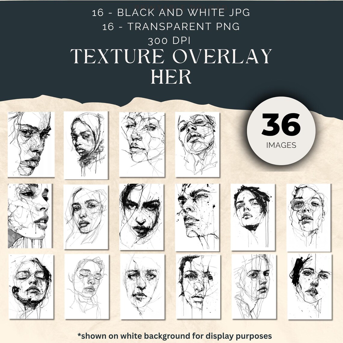 Transparent Overlay, Contour Drawing PNG Clipart, Womens Portrait ...
