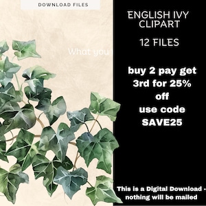 Watercolor Ivy Clip Art,digital Climbing Ivy Vines Clipart, PNG Format ...