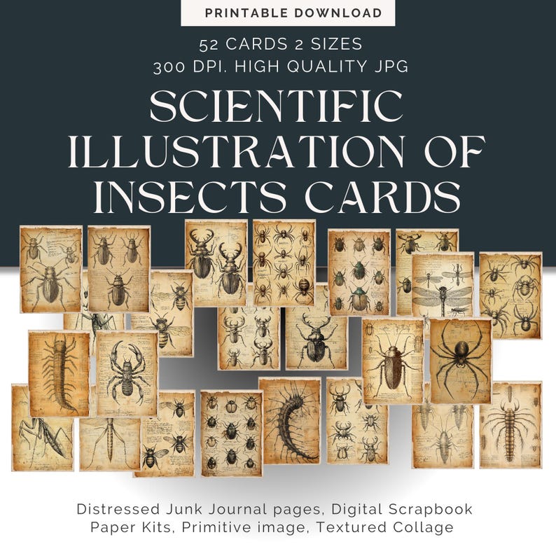 Vintage Insects Junk Journal Pages, Digital Scrapbook Paper Kit ...