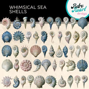 Whimsical Seashells Clipart, Beach Seashell PNG, Coral Reef Clipart, Fisherman Aesthetic ...