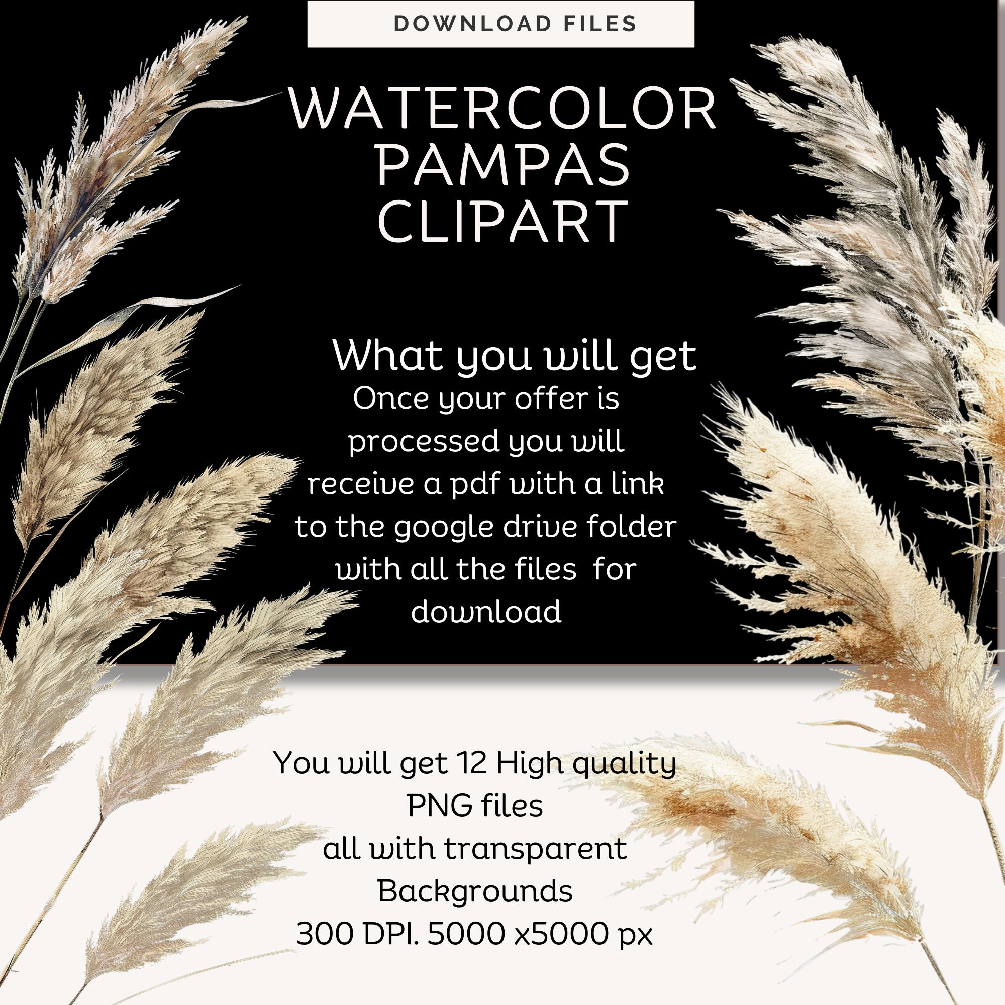 Pampas Grass Clipart Diy Boho Pampas Grasses Flowers Printable ...