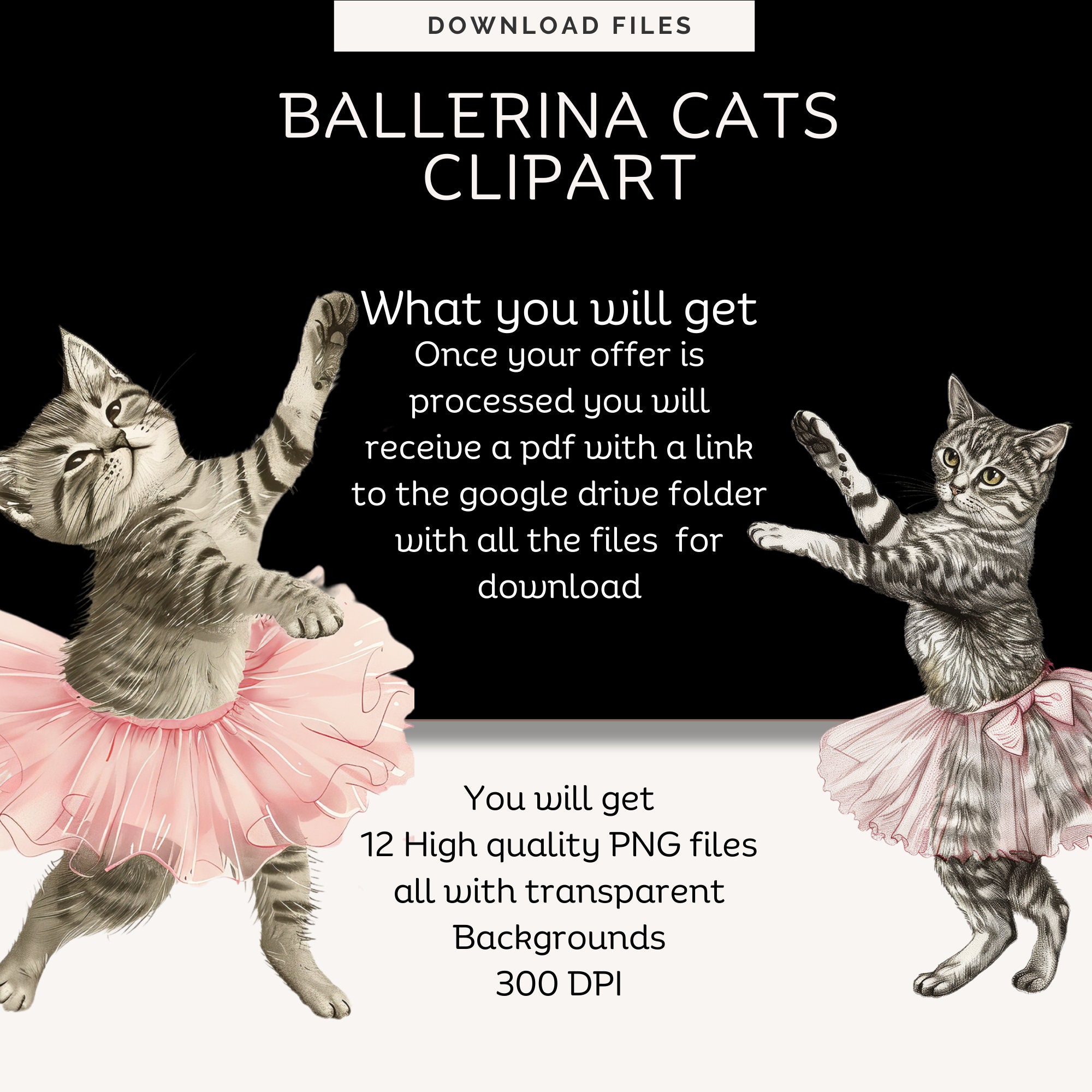 Ballerina Cat Clipart Quirky Cat Clipart ballet Cats in Tutu Dress Cute ...