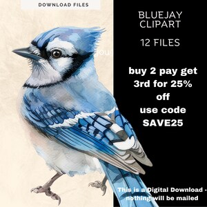 Blue Jay Clipart, Collage Crafts, Bluejay Clipart, Digital Download ...