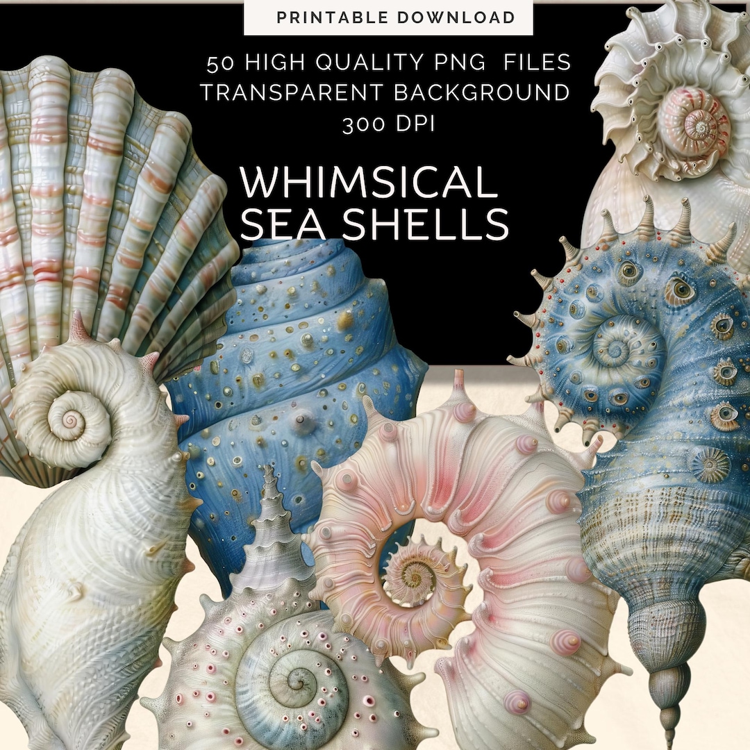 Whimsical Seashells Clipart, Beach Seashell PNG, Coral Reef Clipart ...