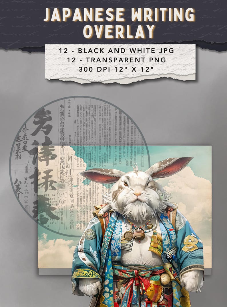 Japanese Writing Overlay: Transparent and Black Backgrounds, - Etsy