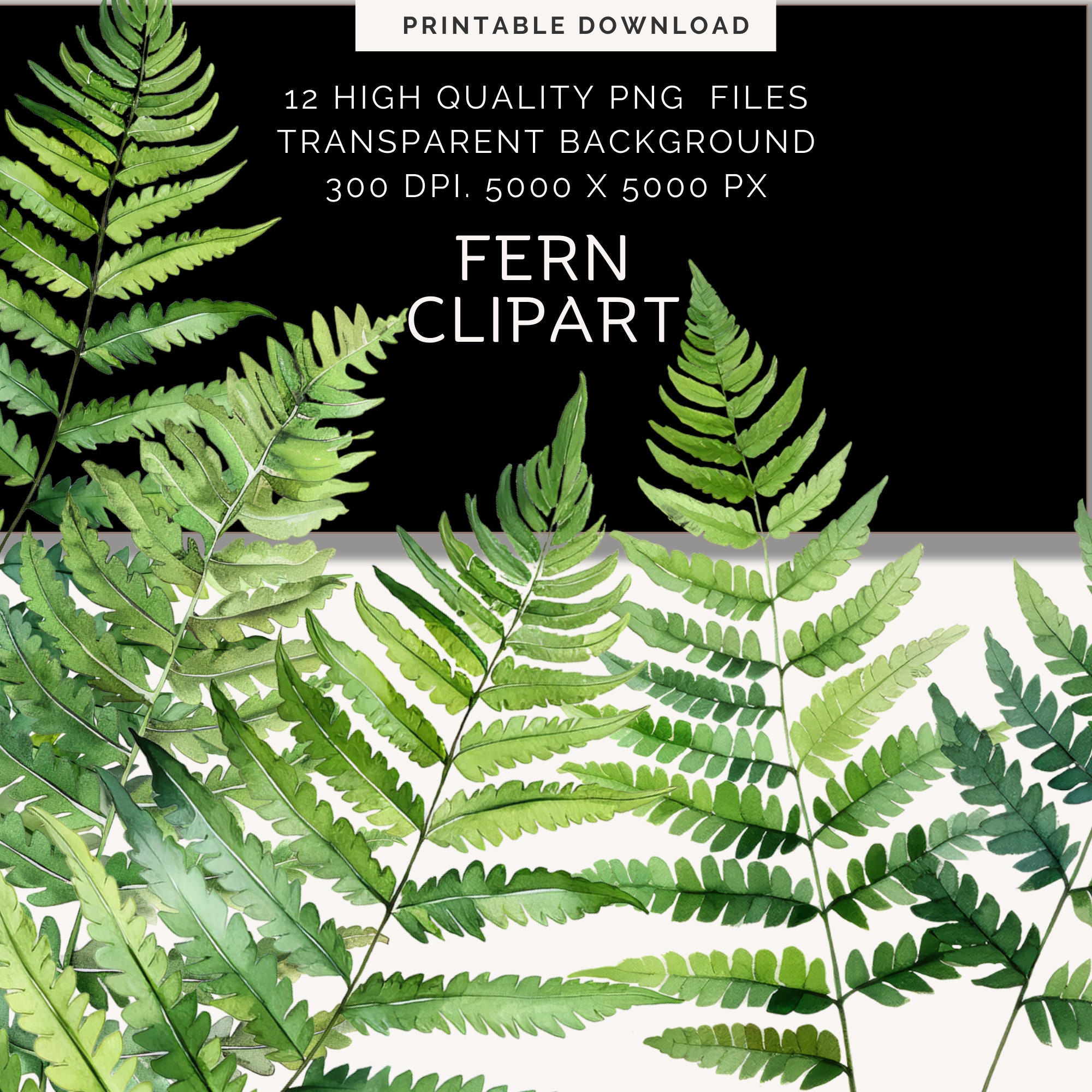 Fern Clipart Paper Craft Fern Png Jpg Eucalyptus Clipart Boho Wedding ...
