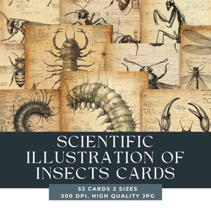 Vintage Insects Junk Journal Pages, Digital Scrapbook Paper Kit ...