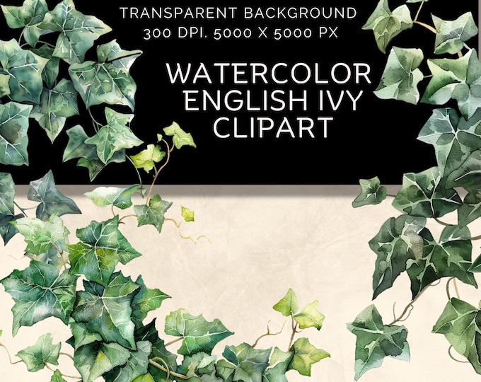 25 Ivy Vines Clipart, Watercolor Ivy Clipart Bundle, High Quality ...