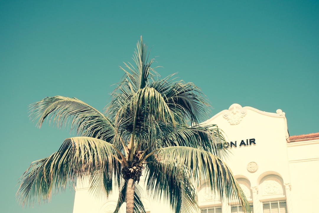 Miami Art Deco, Palm Tree, Instant Download, Digital Print, Minimalist ...