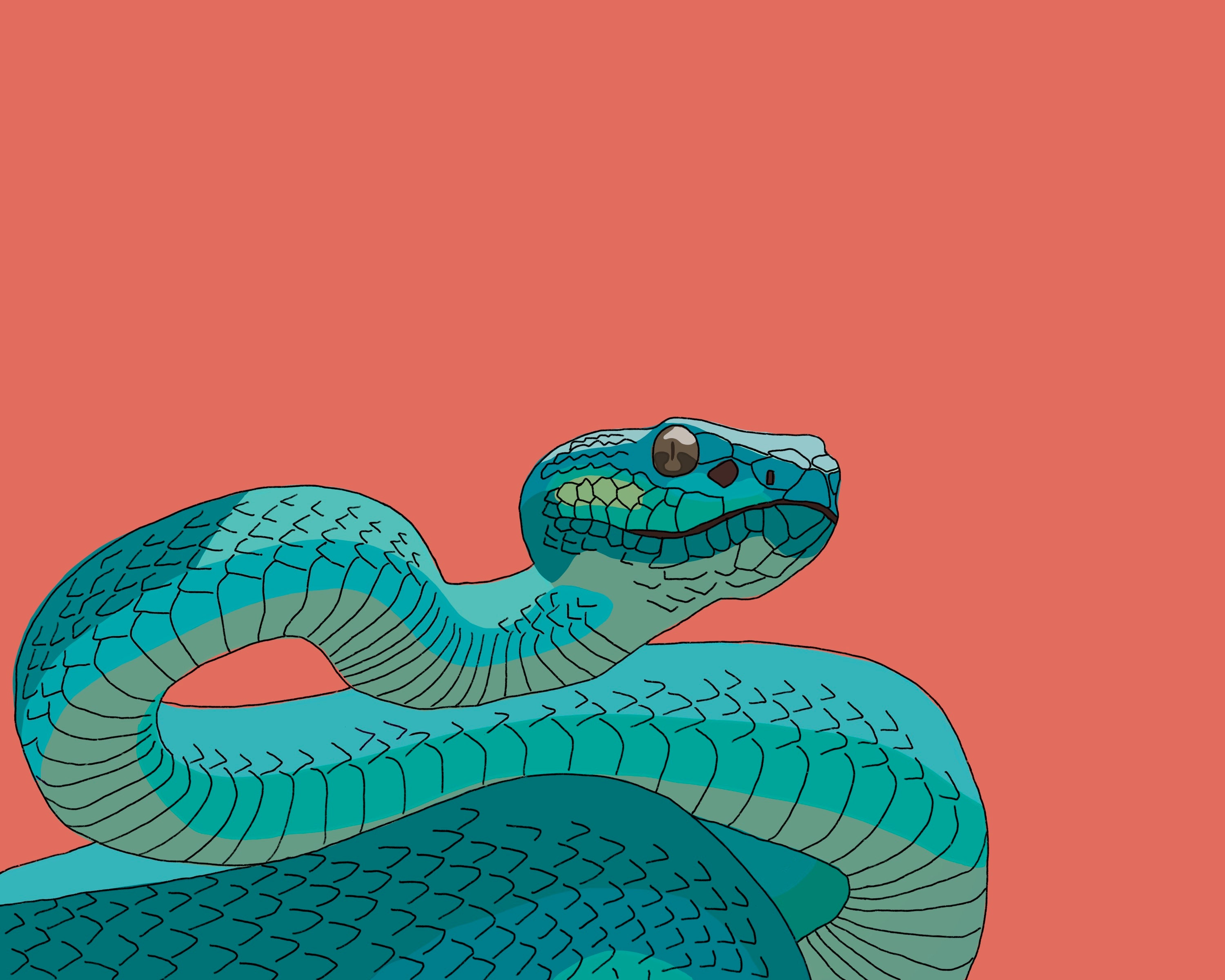 Snake Digital Download, Digital Illustration, Animal Art, Blue Viper ...