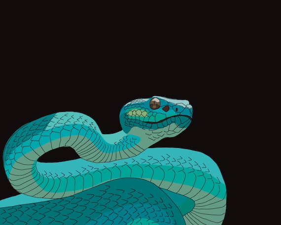 Snake Digital Download Digital Illustration Animal Art Blue | Etsy