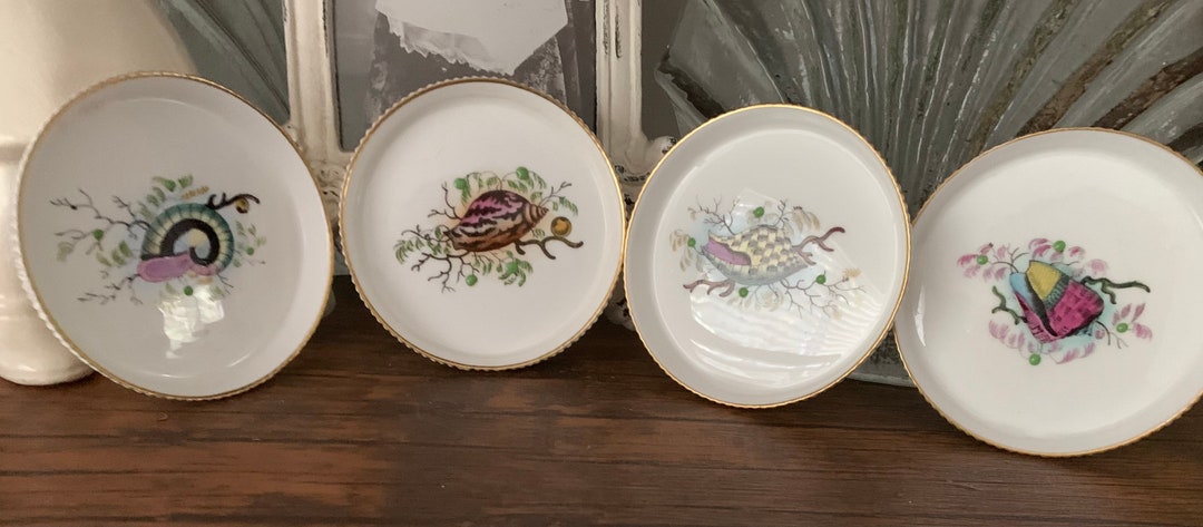 Vintage Royal Worcester Fine Bone China Sea Shells Coasters -set of 4 ...