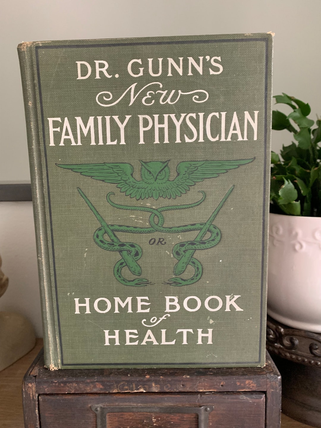 Vintage Book-dr. Gunn’s New Family Physician Home and Health Book-1911 ...