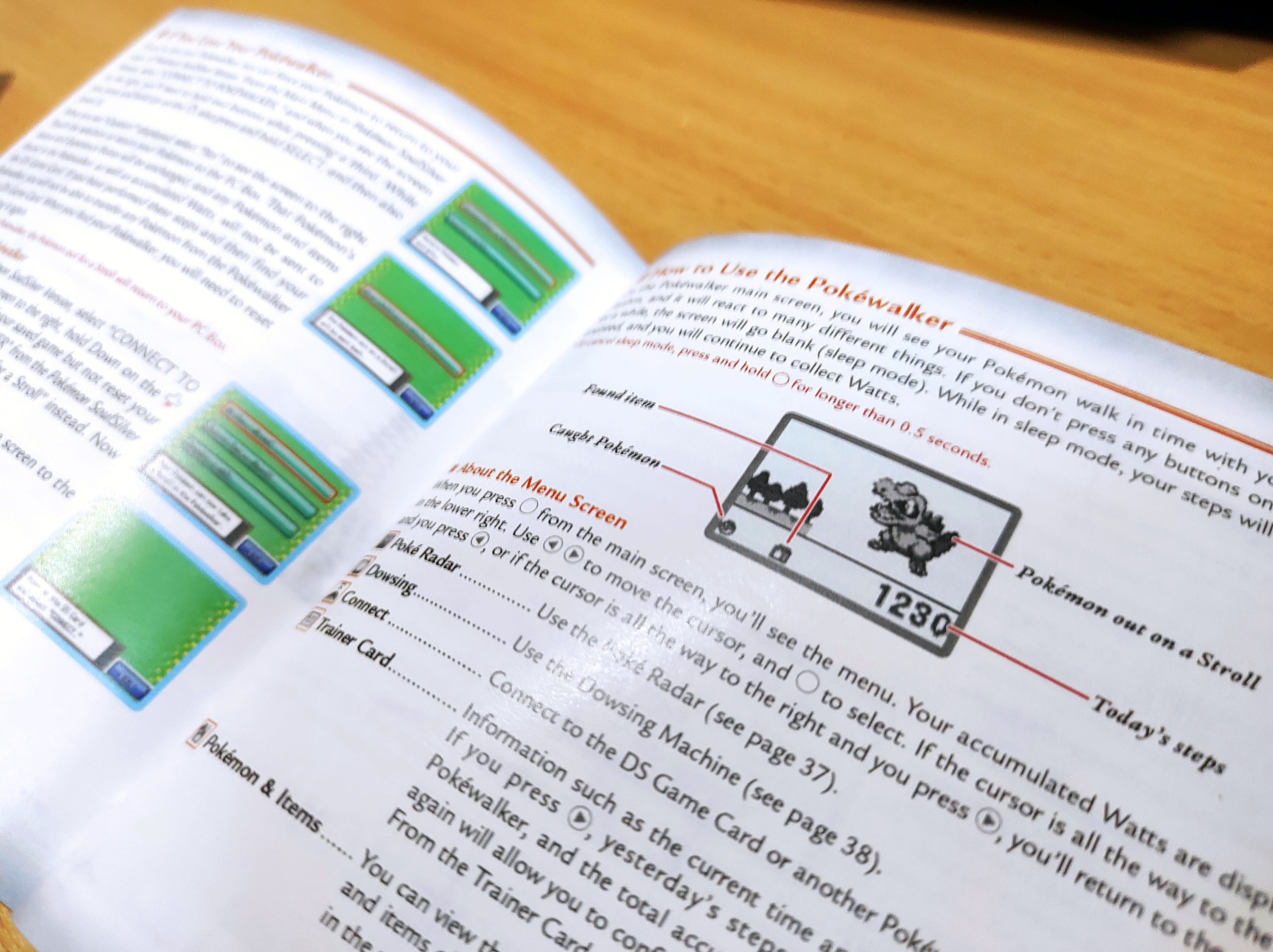 Manual Reproduction for DS Game - Soulsilver - Pokemon - Handmade ...