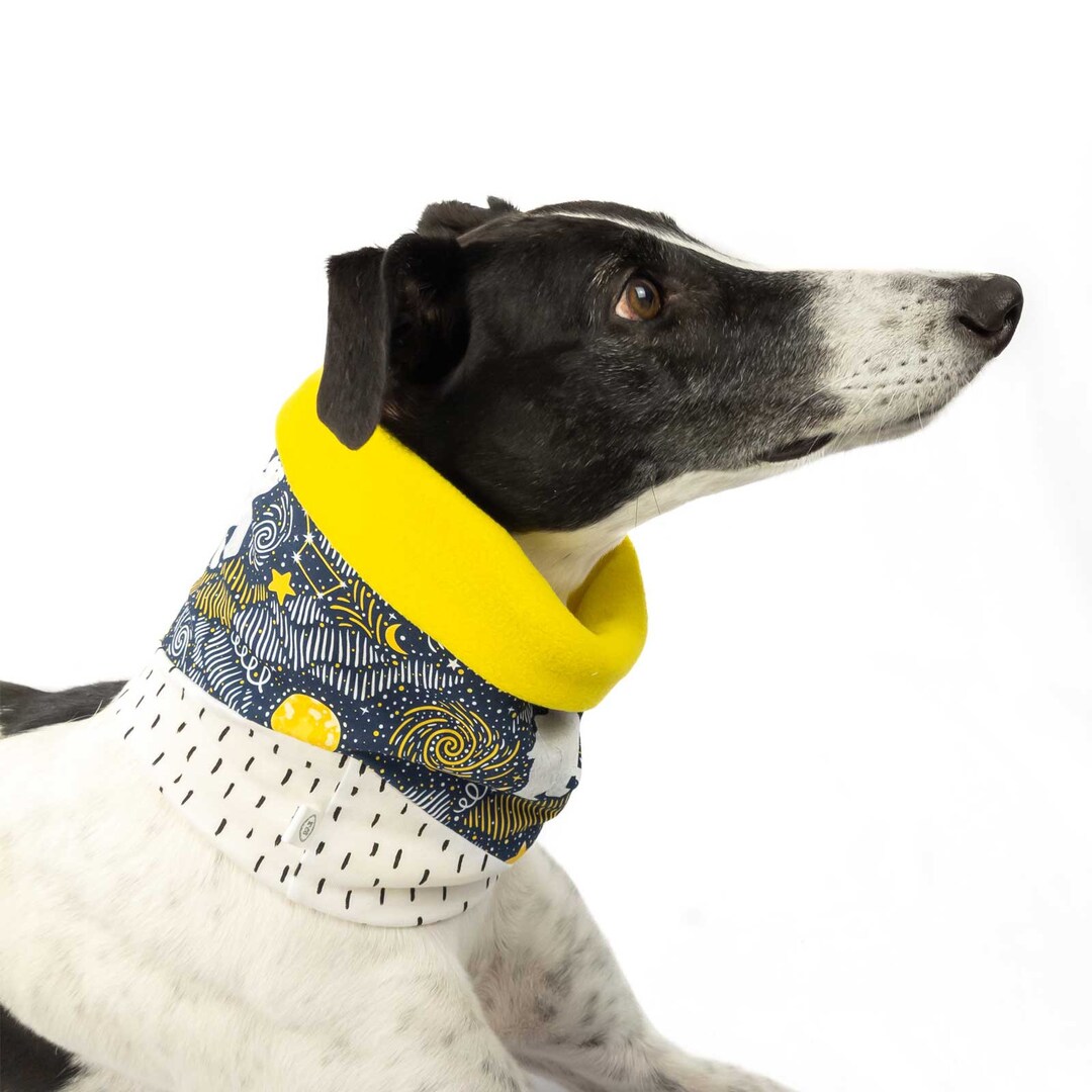 Arctic Night Fleece Lined Snood Dog Snood Matching Snood - Etsy