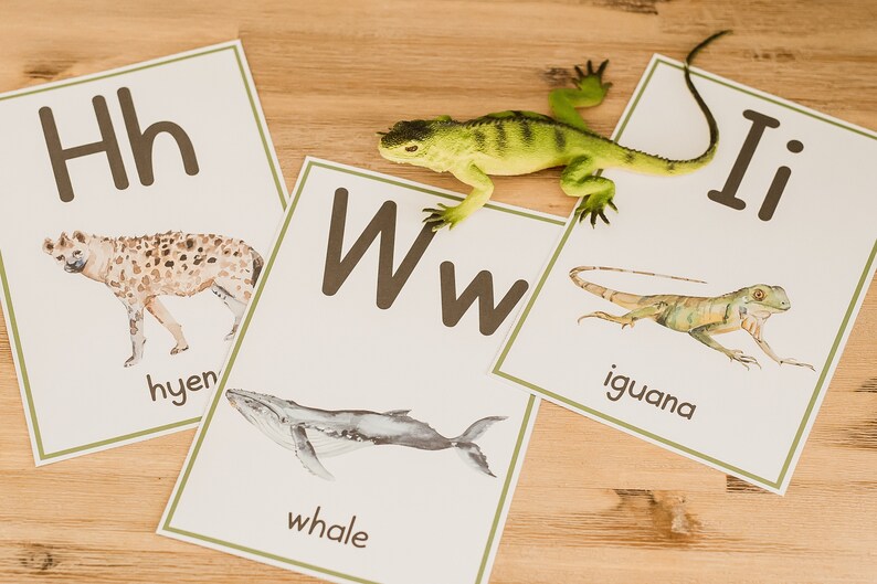 A-Z Animal Alphabet Classroom Decor Classroom Alphabet | Etsy