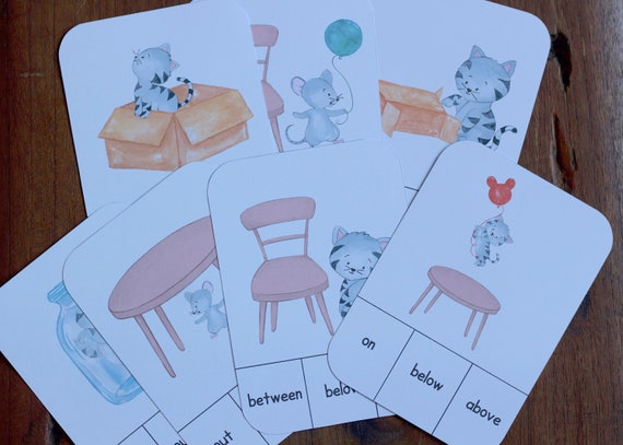 Preposition Clip Cards 12 Cute Cat and Mouse Positional | Etsy