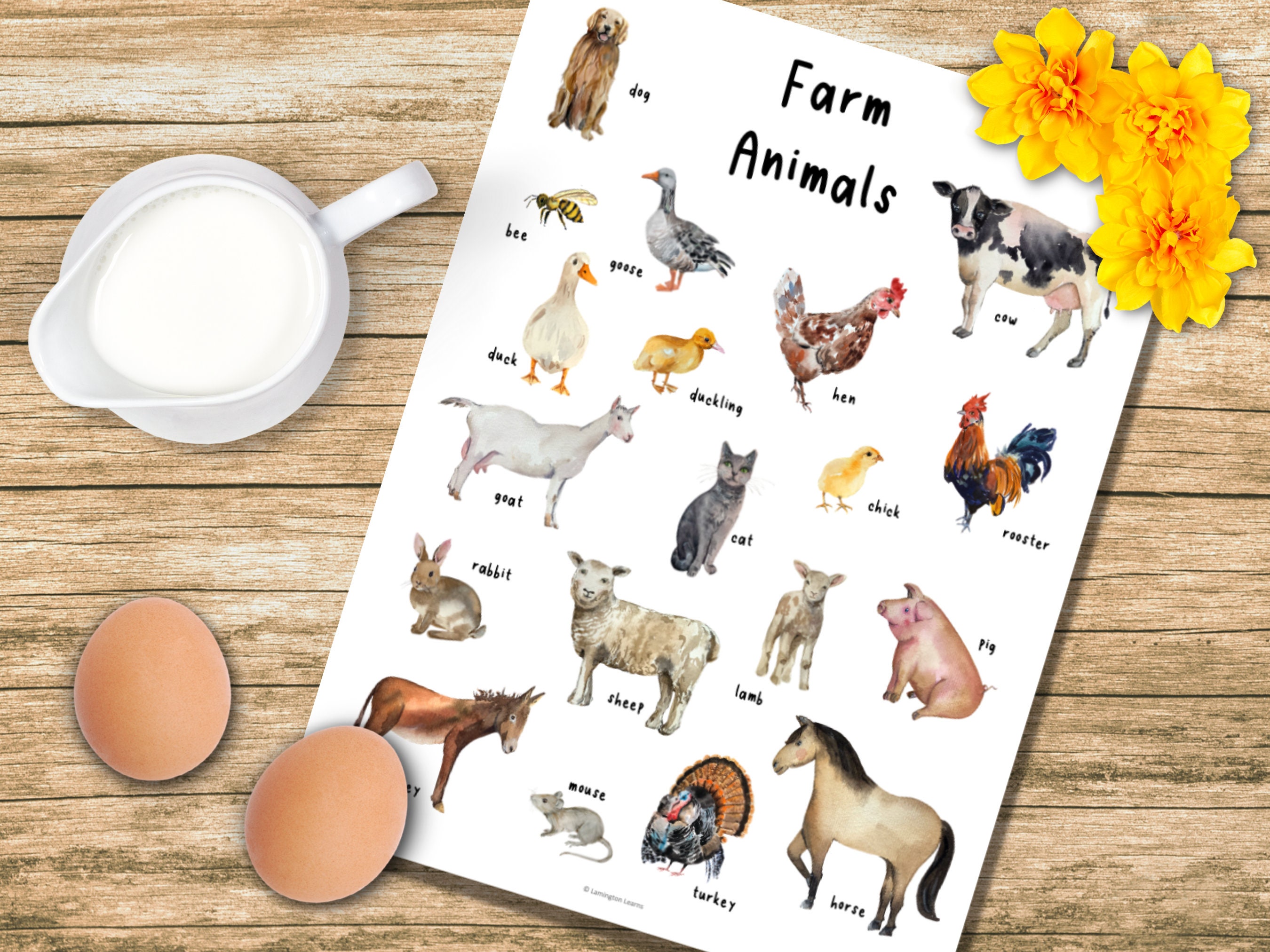 Farm Animal Letter-sized Poster or Wall Display - Learning About ...