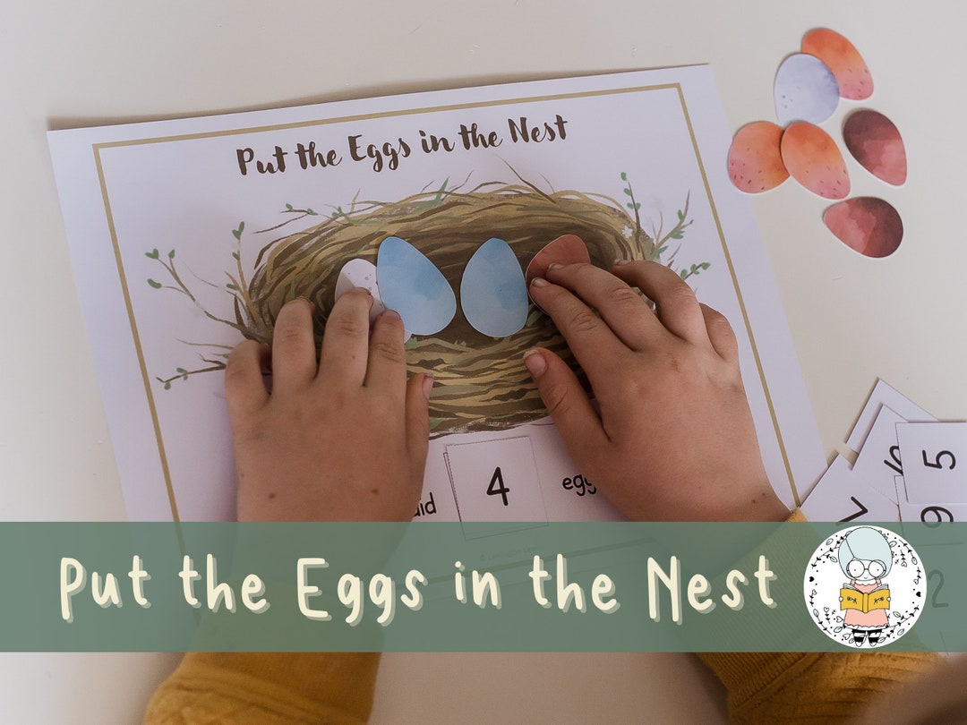 Put the Eggs in the Nest Counting to 10 Fun Hands-on Activity for Early ...