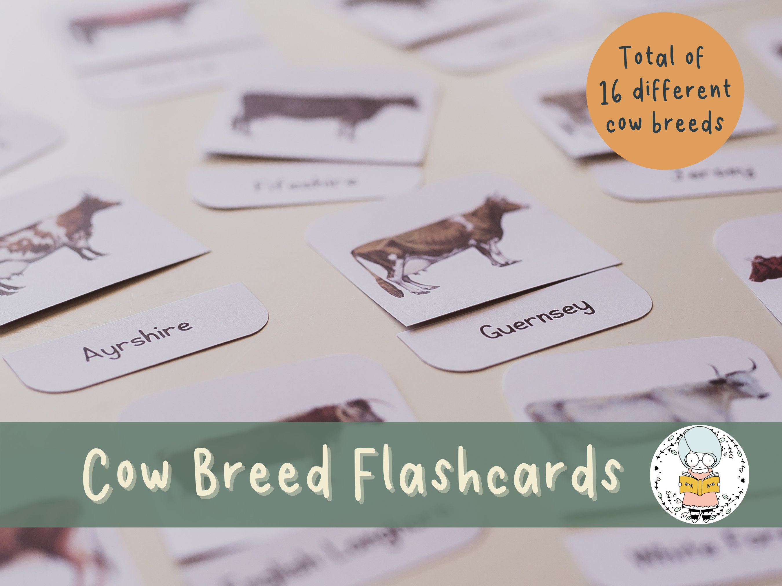Cow Breed Flashcards - Great Addition to Farm Animal Unit Study ...