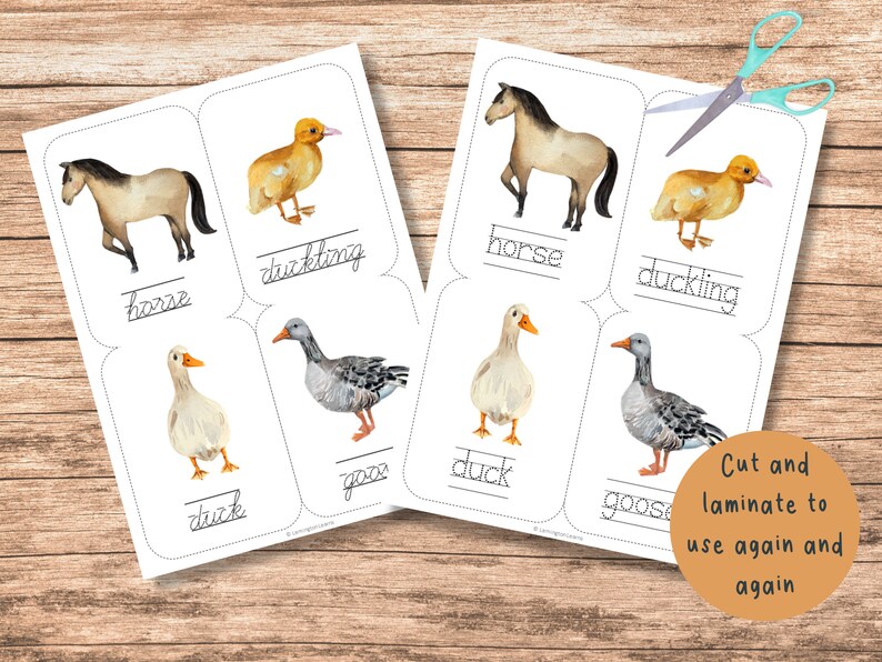 Cursive and Print Farm Animal Handwriting Practice Cards for Early ...