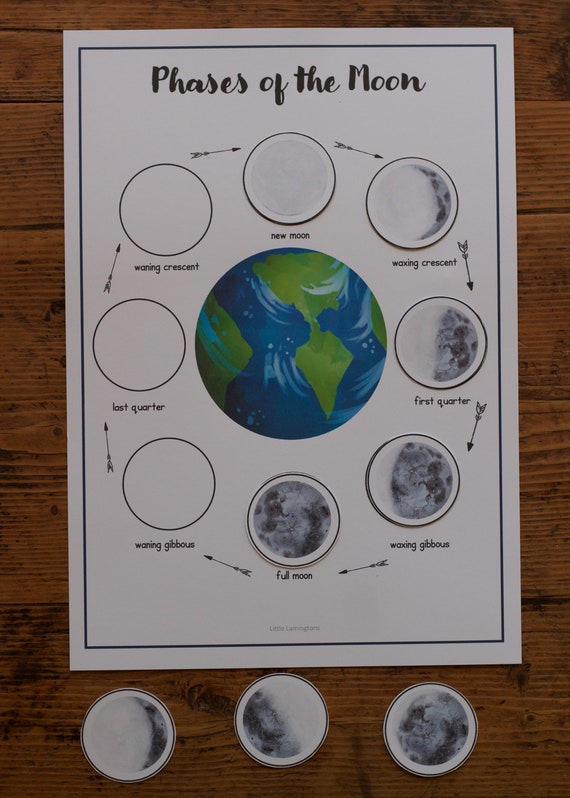 Phases of the Moon Sorting Activity Space Unit Activity | Etsy Australia
