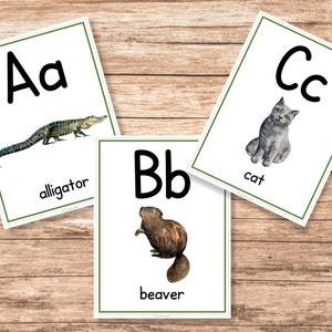 A-Z Animal Alphabet Classroom Decor, Classroom Alphabet Posters or ...