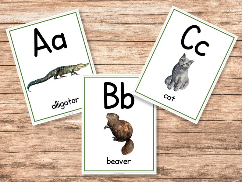 A-Z Animal Alphabet Classroom Decor Classroom Alphabet - Etsy