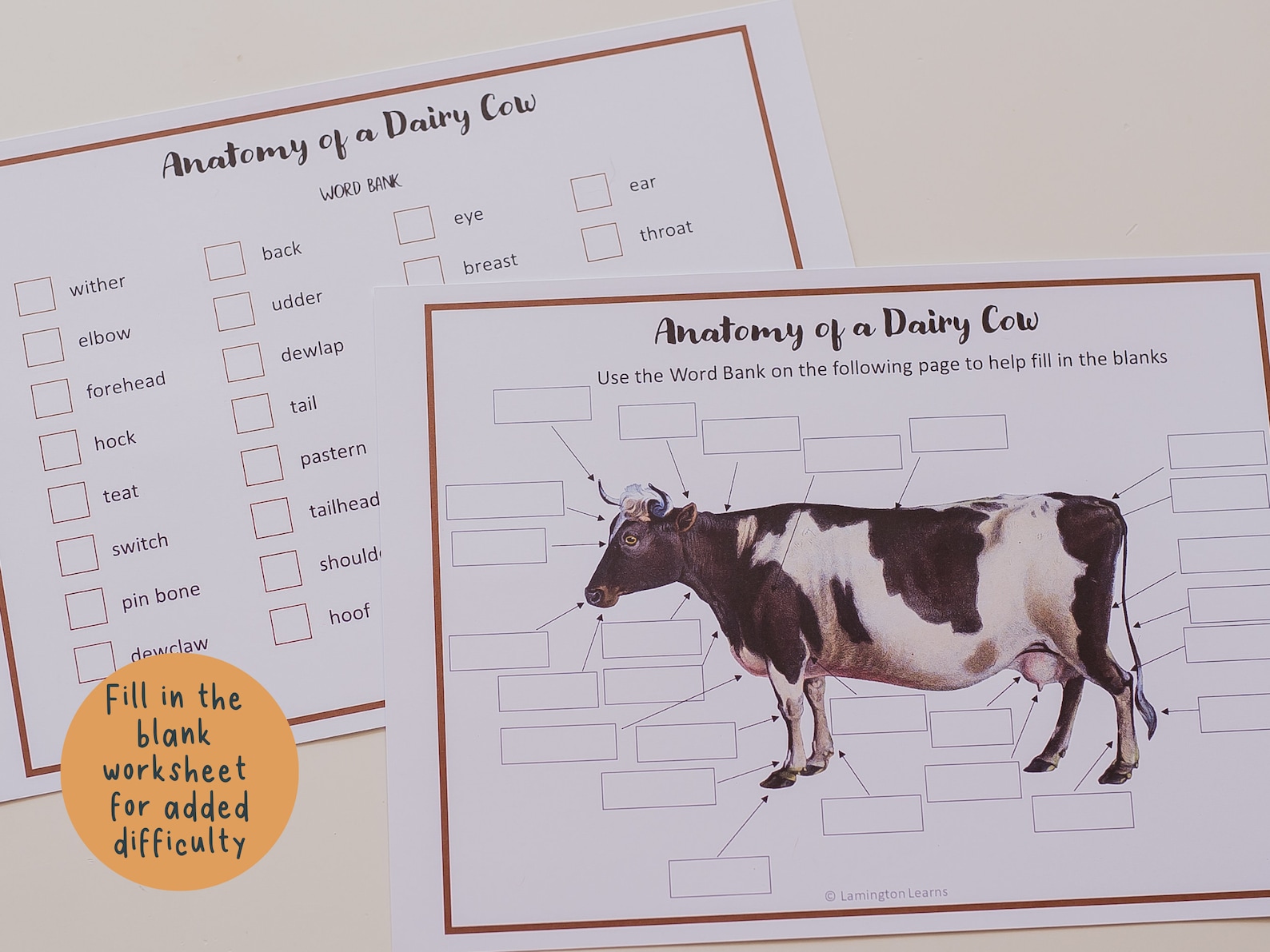 Anatomy of a Dairy Cow - Label the Diagram - Fill in the Blanks for ...