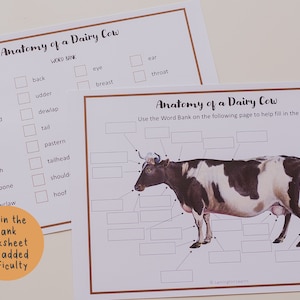 Anatomy of a Dairy Cow - Label the Diagram - Fill in the Blanks for ...