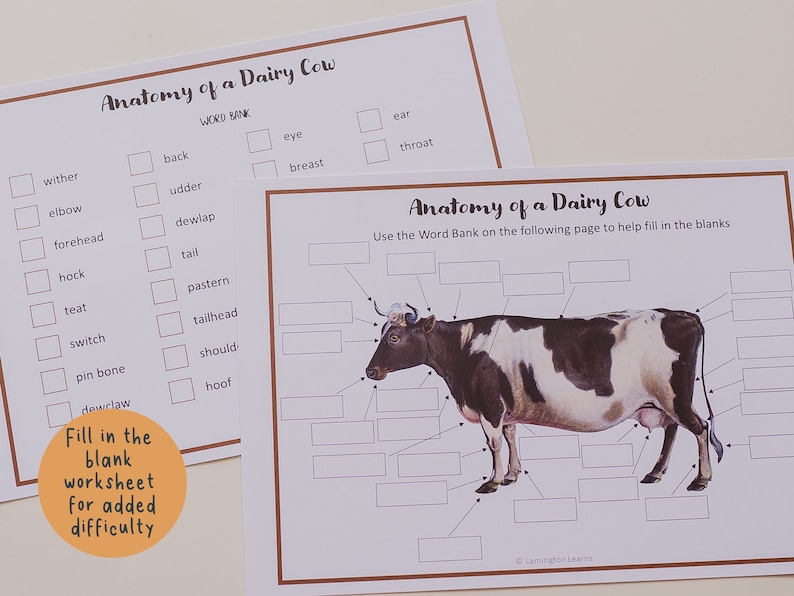 Anatomy of a Dairy Cow - Label the Diagram - Fill in the Blanks for ...