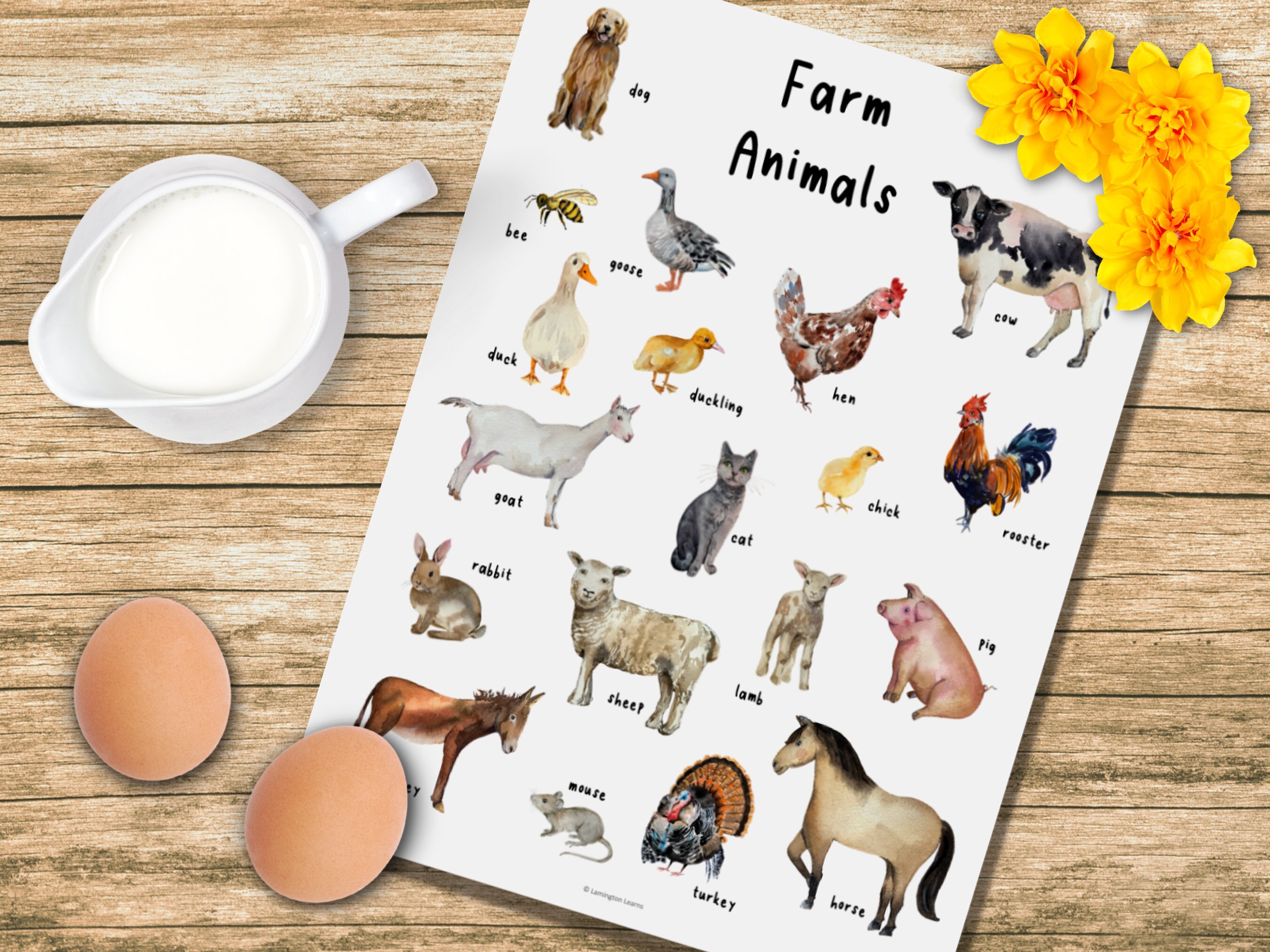 Farm Animal Mini Bundle for Early Learners Hands-on - Etsy