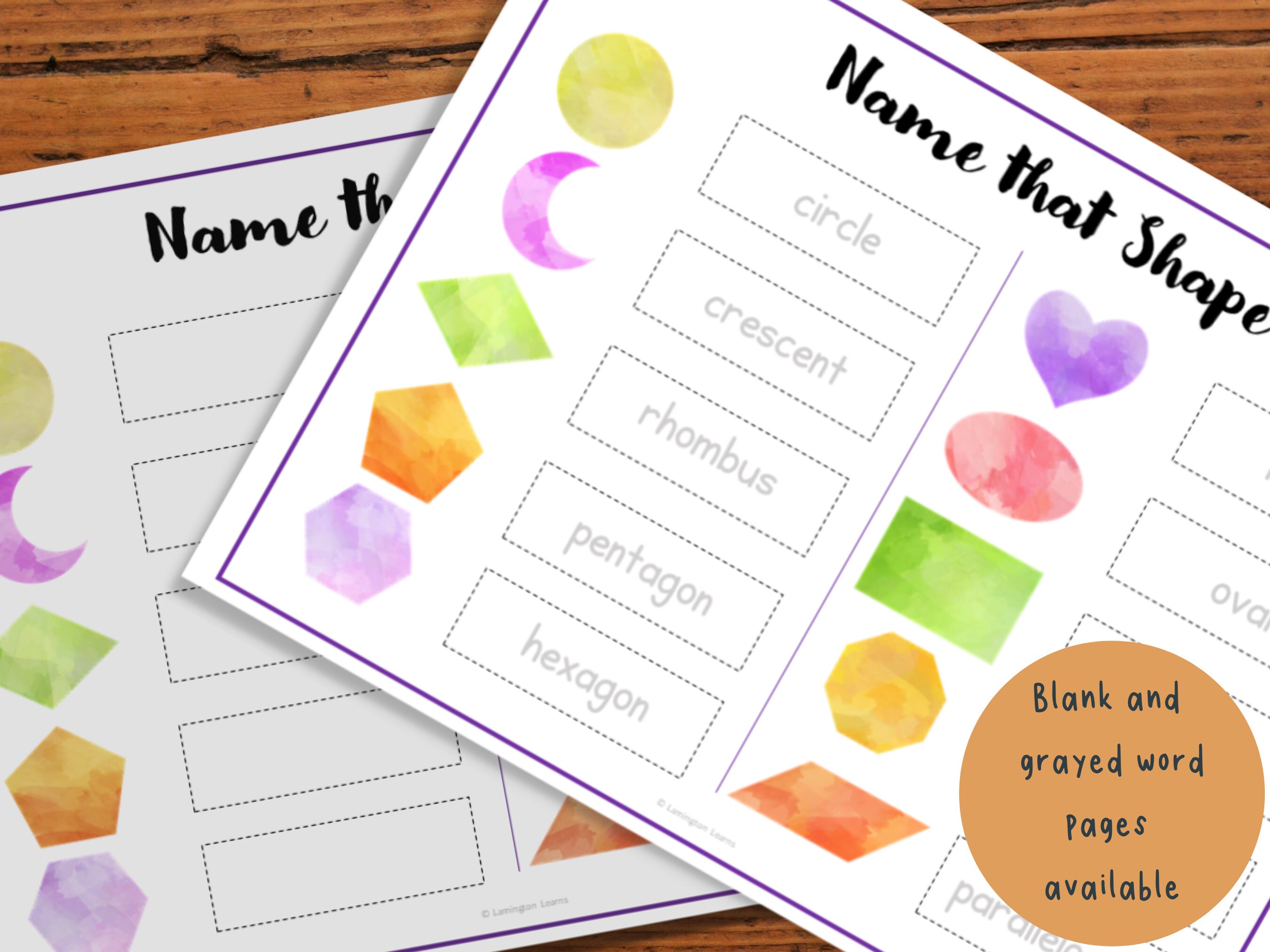 Name That Shape Matching Activity Shape Learning Printable Preschool ...
