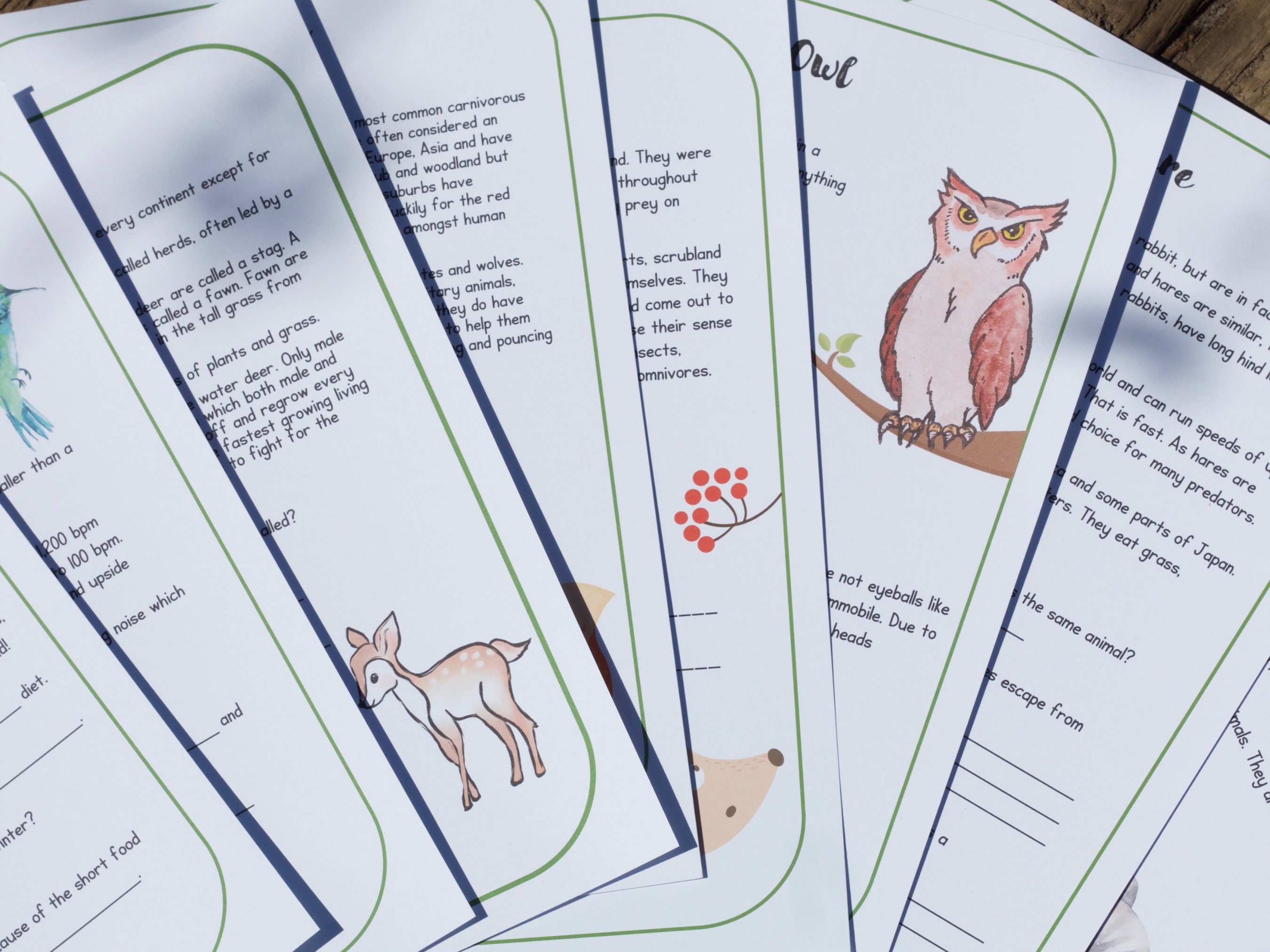 Reading Comprehension Workbook | Woodland Animals | Learning Activity ...