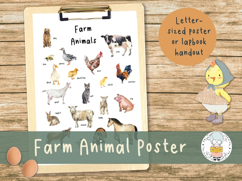 Farm Animal Letter-sized Poster or Wall Display - Learning About ...
